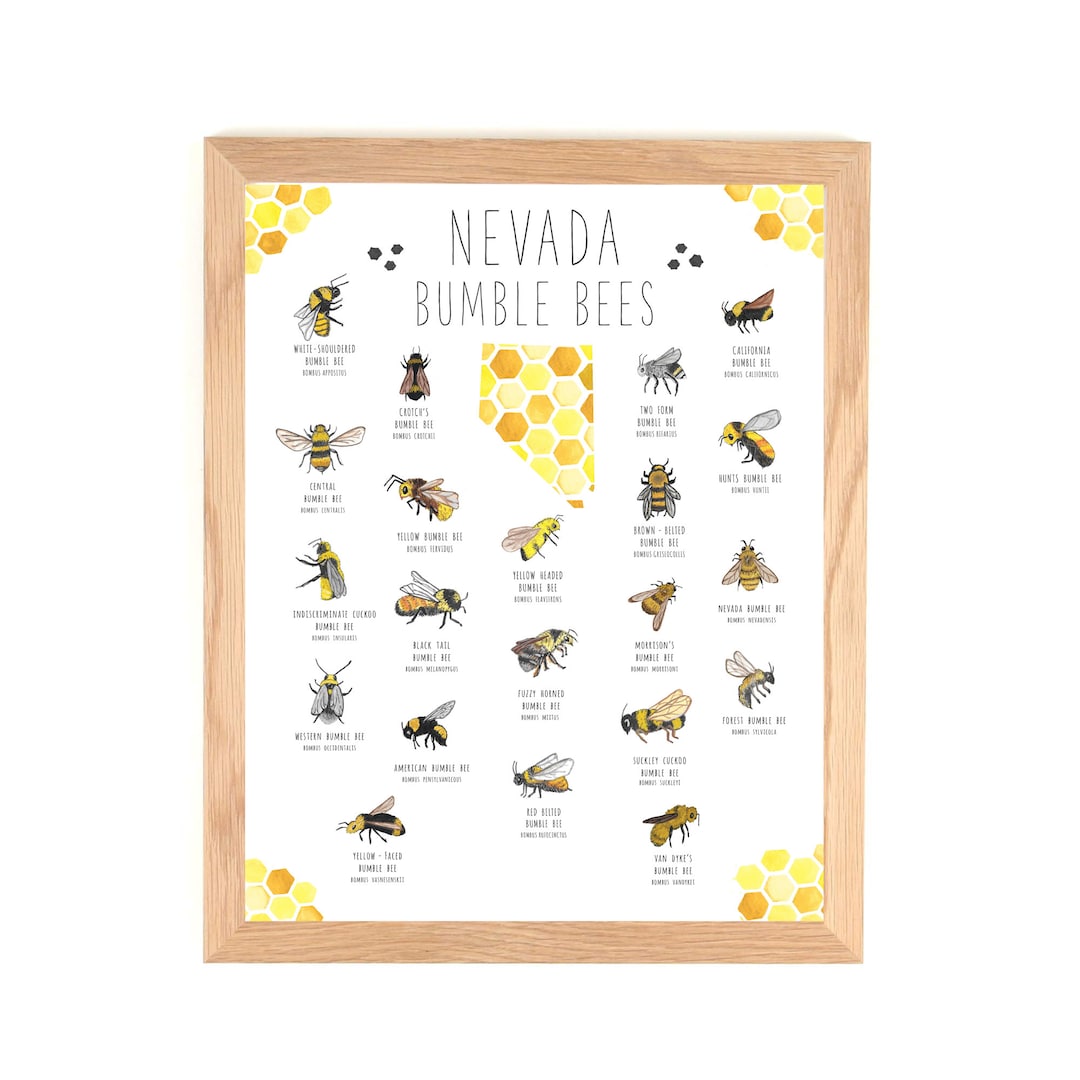 Nevada Bumble Bees Poster Watercolor Print Bee Keeper Gifts Species ...