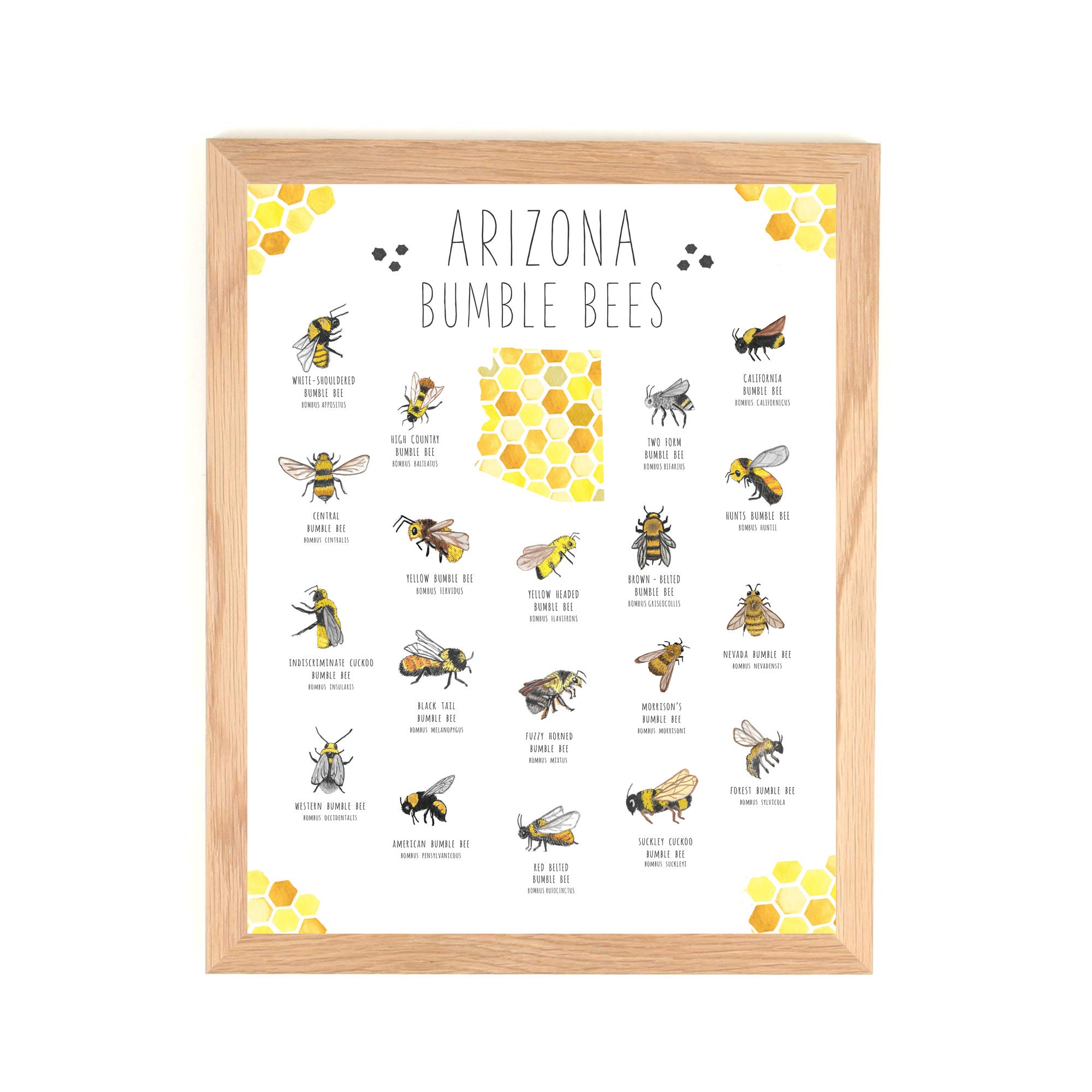 Arizona Bumble Bees Poster- Watercolor Print- Bee Keeper Gifts ...