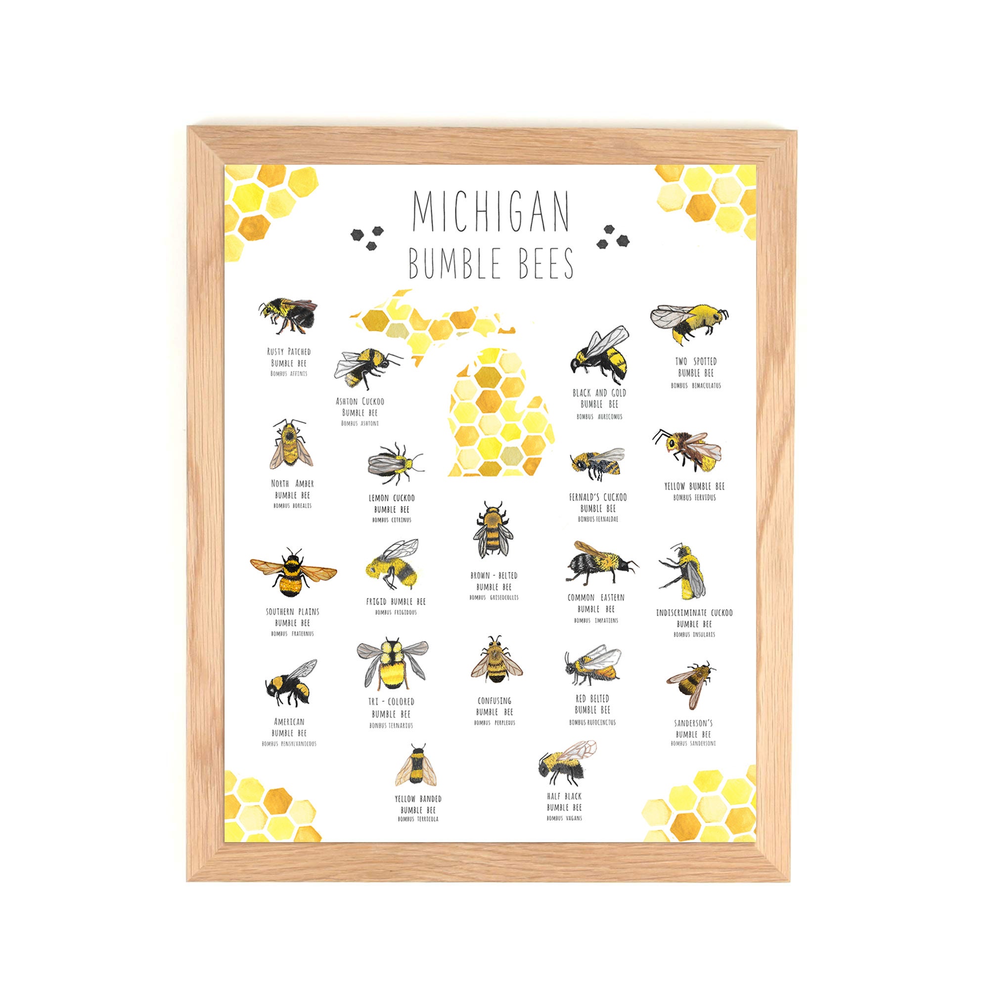Michigan Bumble Bee Species Poster - Wildlife Poster Print - Etsy