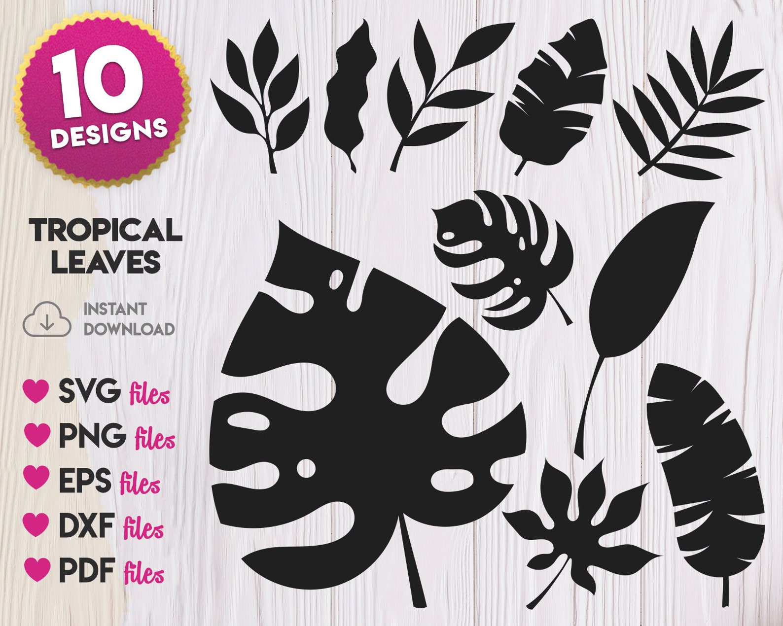 Tropical Leaf SVG Bundle, Tropical Leaf Silhouette Svg, Palm Leaves Svg ...