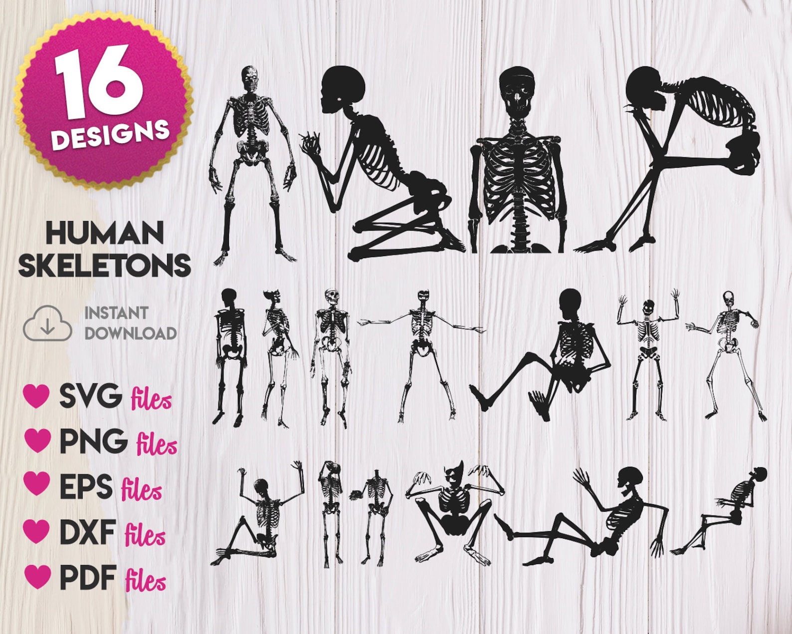 Human Skeletons SVG, Human Skeletons Silhouette Svg, Human Skeleton ...