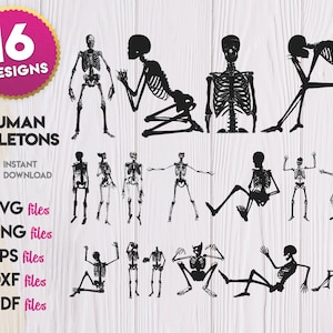 Human Skeletons SVG, Human Skeletons Silhouette Svg, Human Skeleton ...