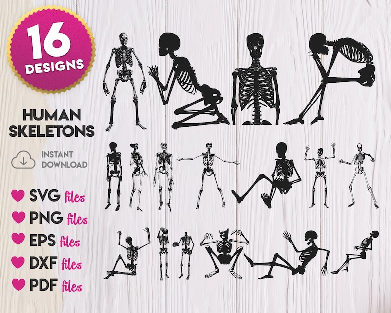 Human Skeletons SVG, Human Skeletons Silhouette Svg, Human Skeleton ...