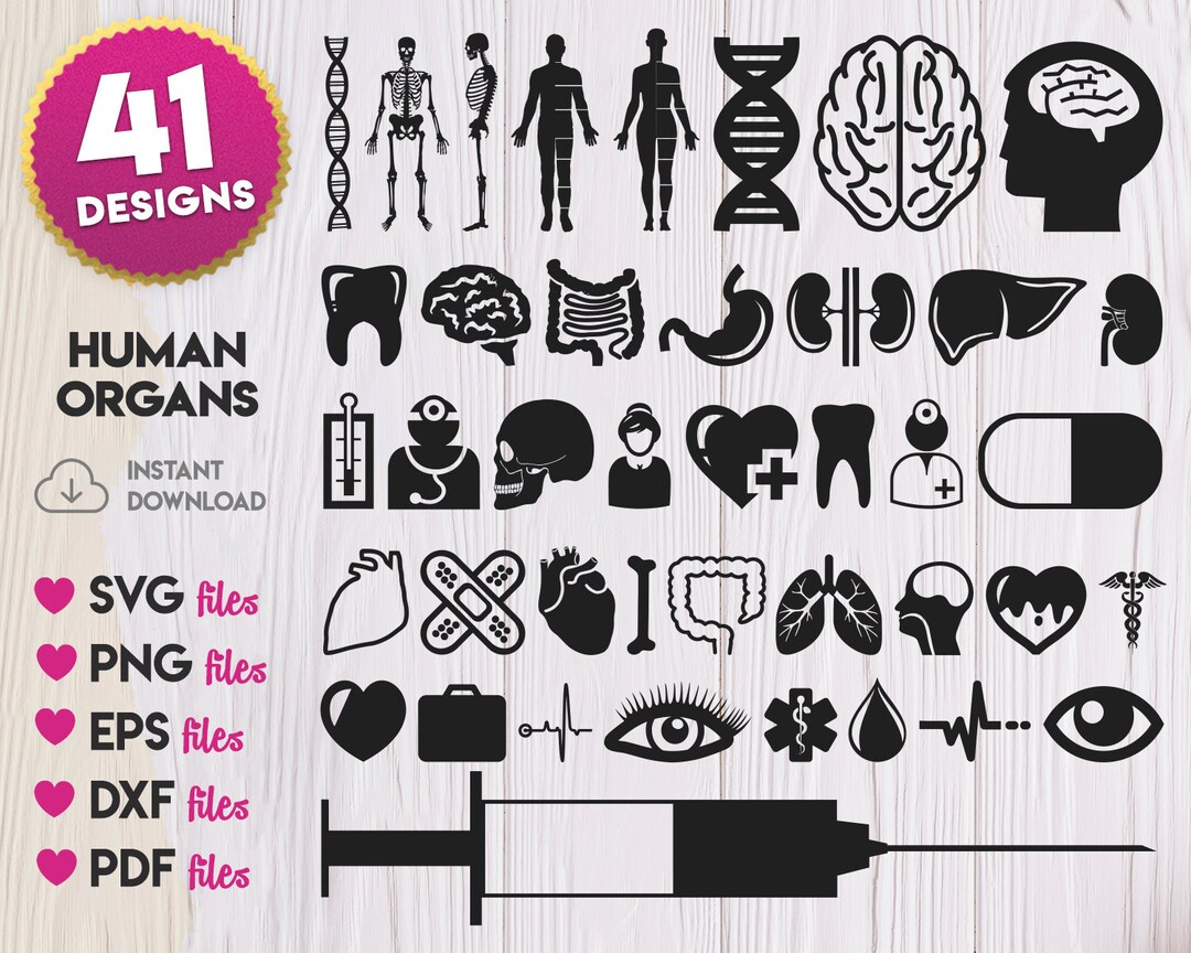 Human Organs SVG Bundle, Human Organs Silhouette Svg, Syringe, Skeleton ...