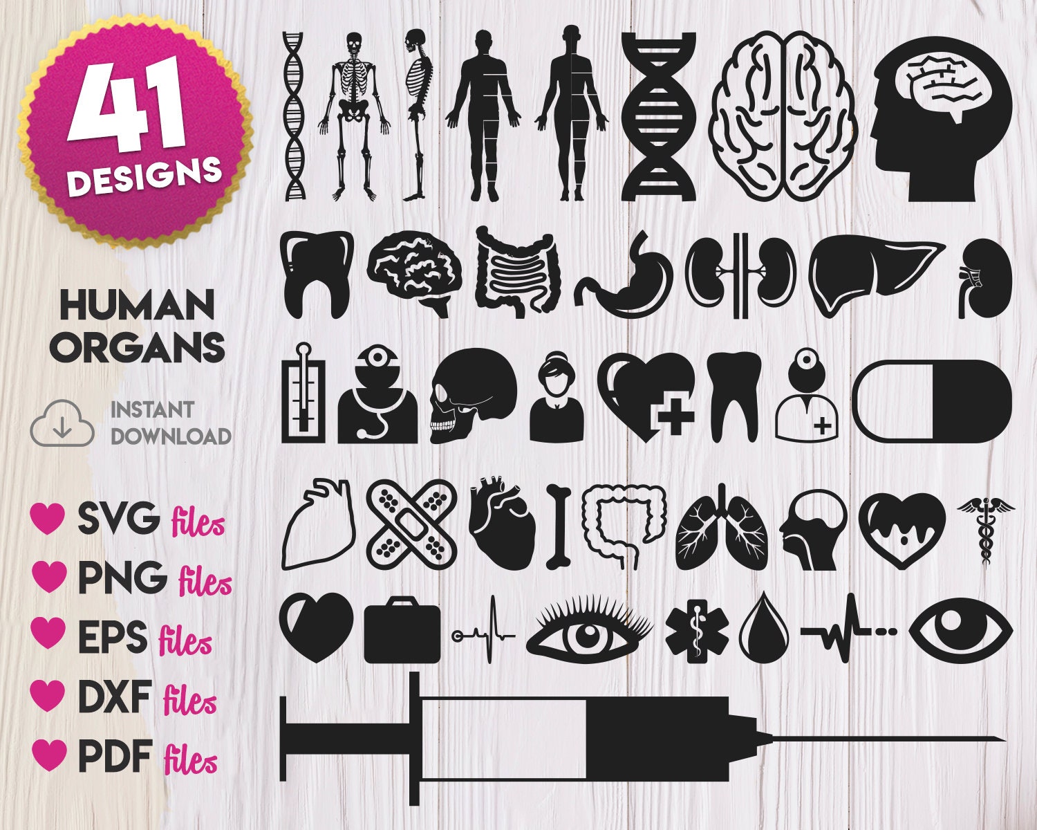 Human Organs SVG Bundle, Human Organs Silhouette Svg, Syringe, Skeleton ...