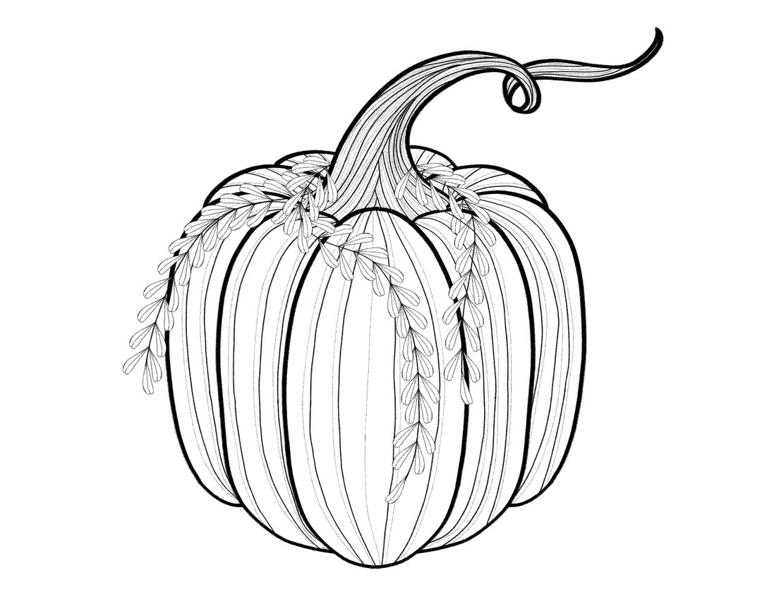 Pumpkin Sketch Print-instant DOWNLOAD - Etsy