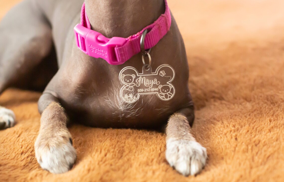 Custom Dog Tags Acrylic Custom Dog Tagstransparent Acrylic | Etsy