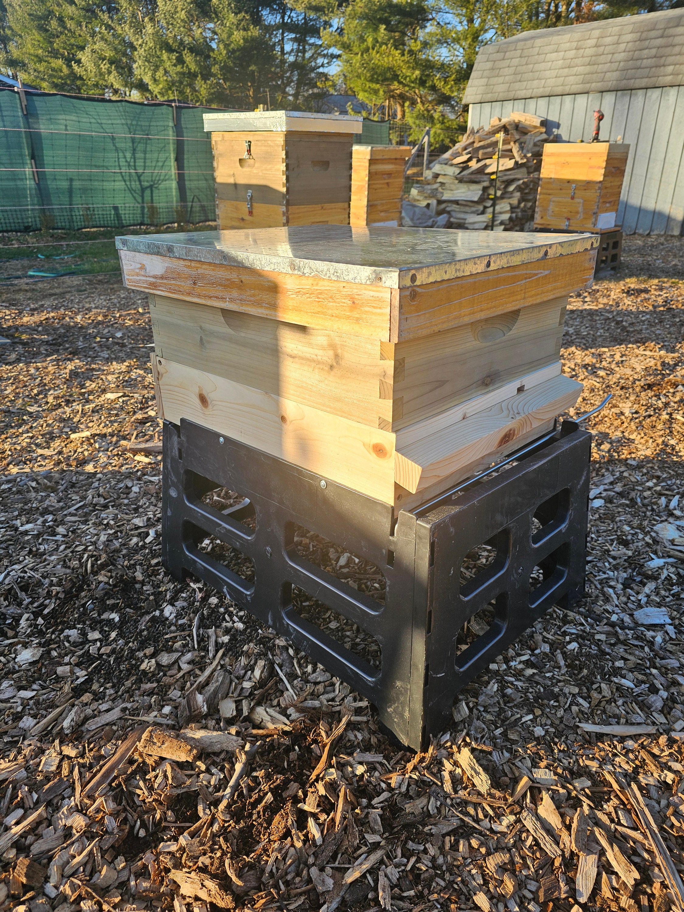 Insulated Screen Bottom Board for 10/8 Frame Hive . Removable ...