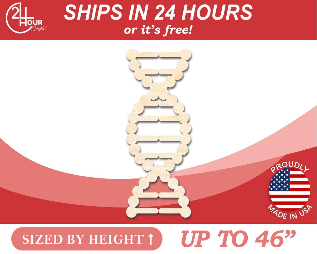 Unfinished Wooden DNA Shape - Biology - Craft - From 1" up to 46" DIY ...