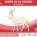Unfinished Wooden Gazelle Shape - Animal - Safari - Craft - From 1" up ...