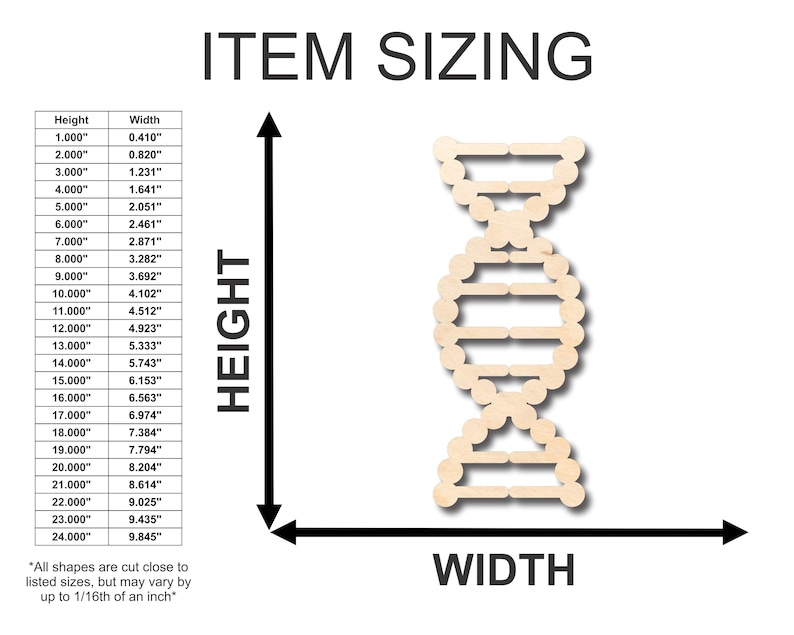 Unfinished Wooden DNA Shape Biology Craft up to 24 - Etsy