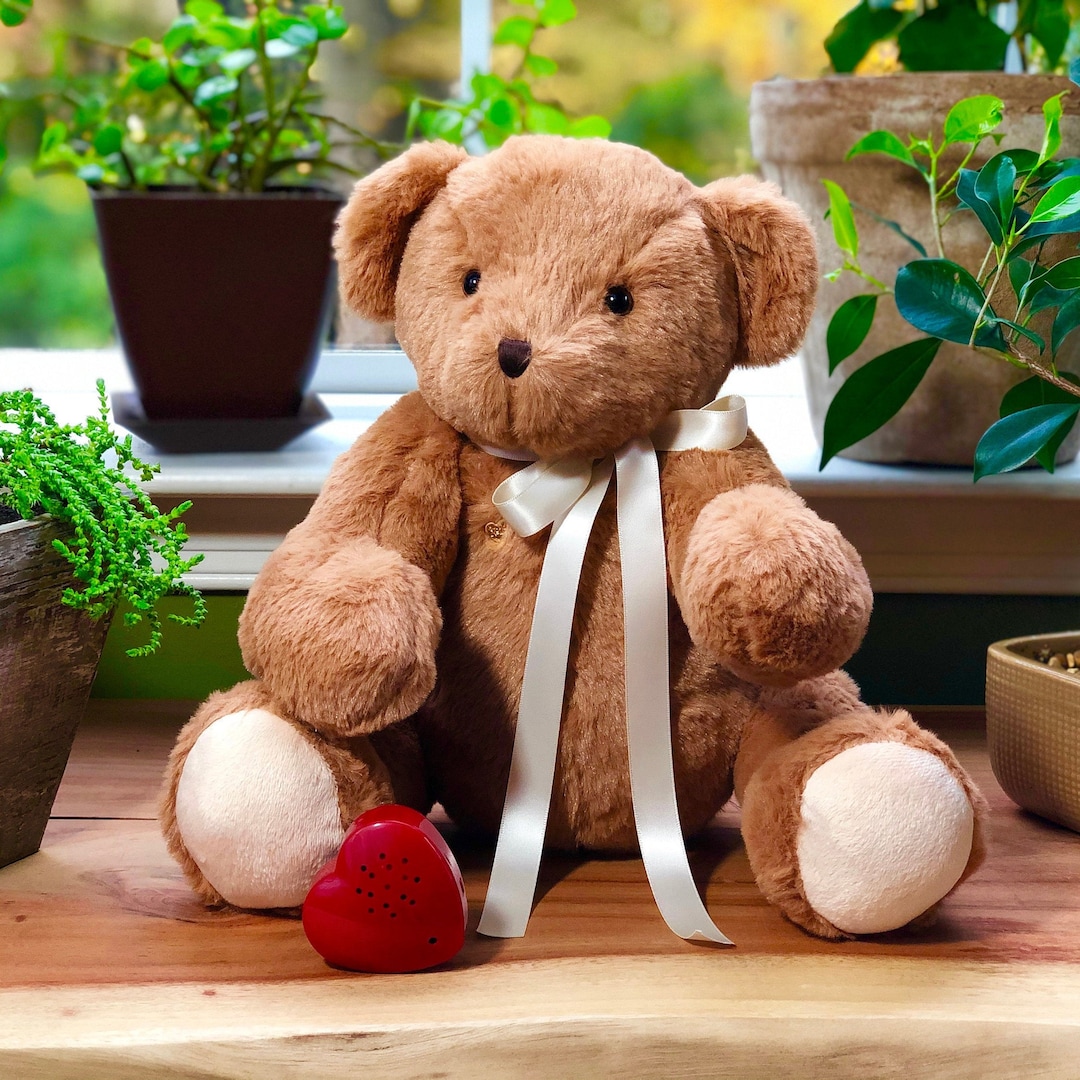 Personal Recordable Plush, Voice Recording Gift, Voice Recording Gift ...