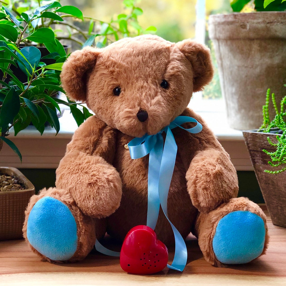 RECORDABLE STUFFED Animals - Heartbeat Plush - Memory Bear - I Love You ...