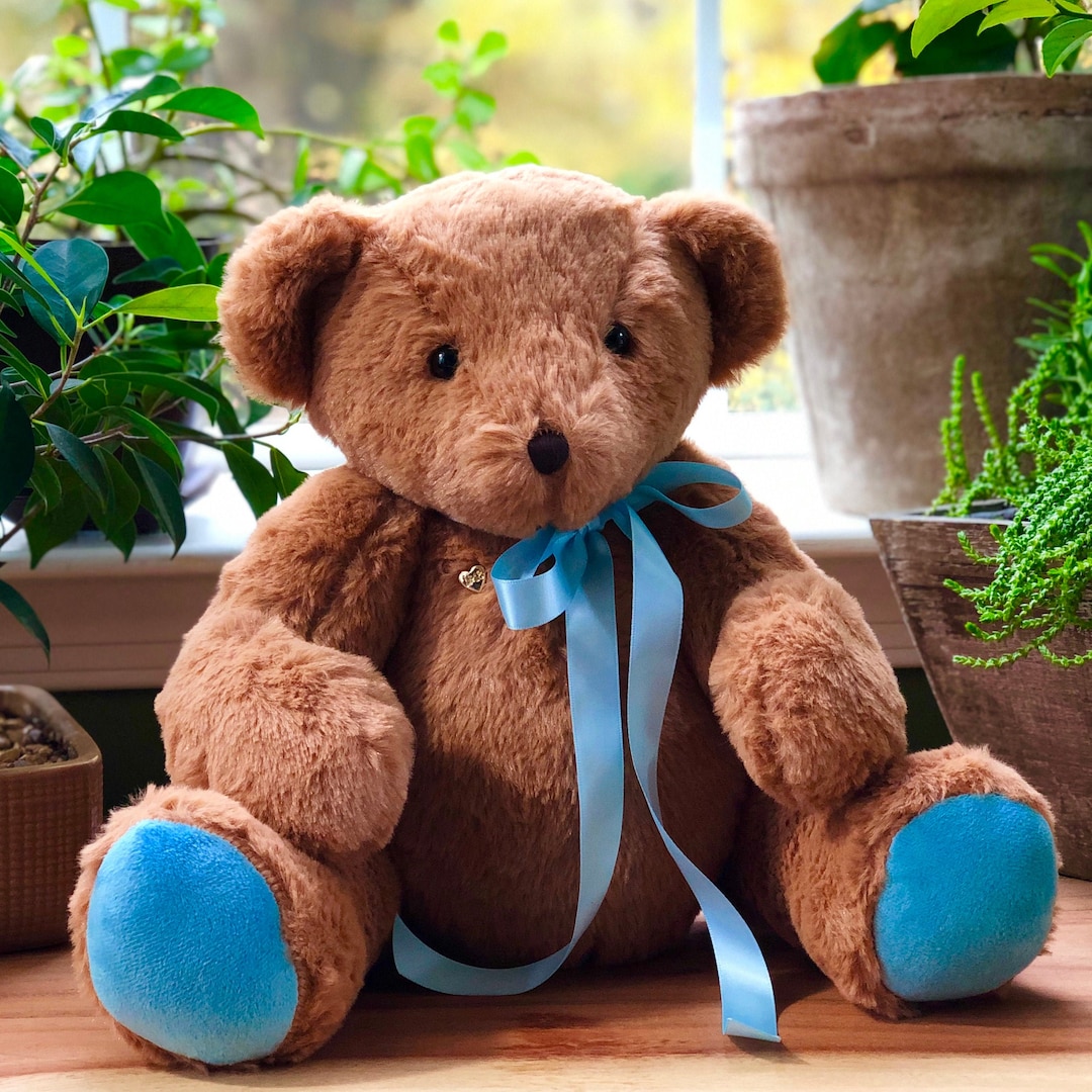 Stuffed Animal With Recorder, Voice Recording Gift, Voice Recording ...