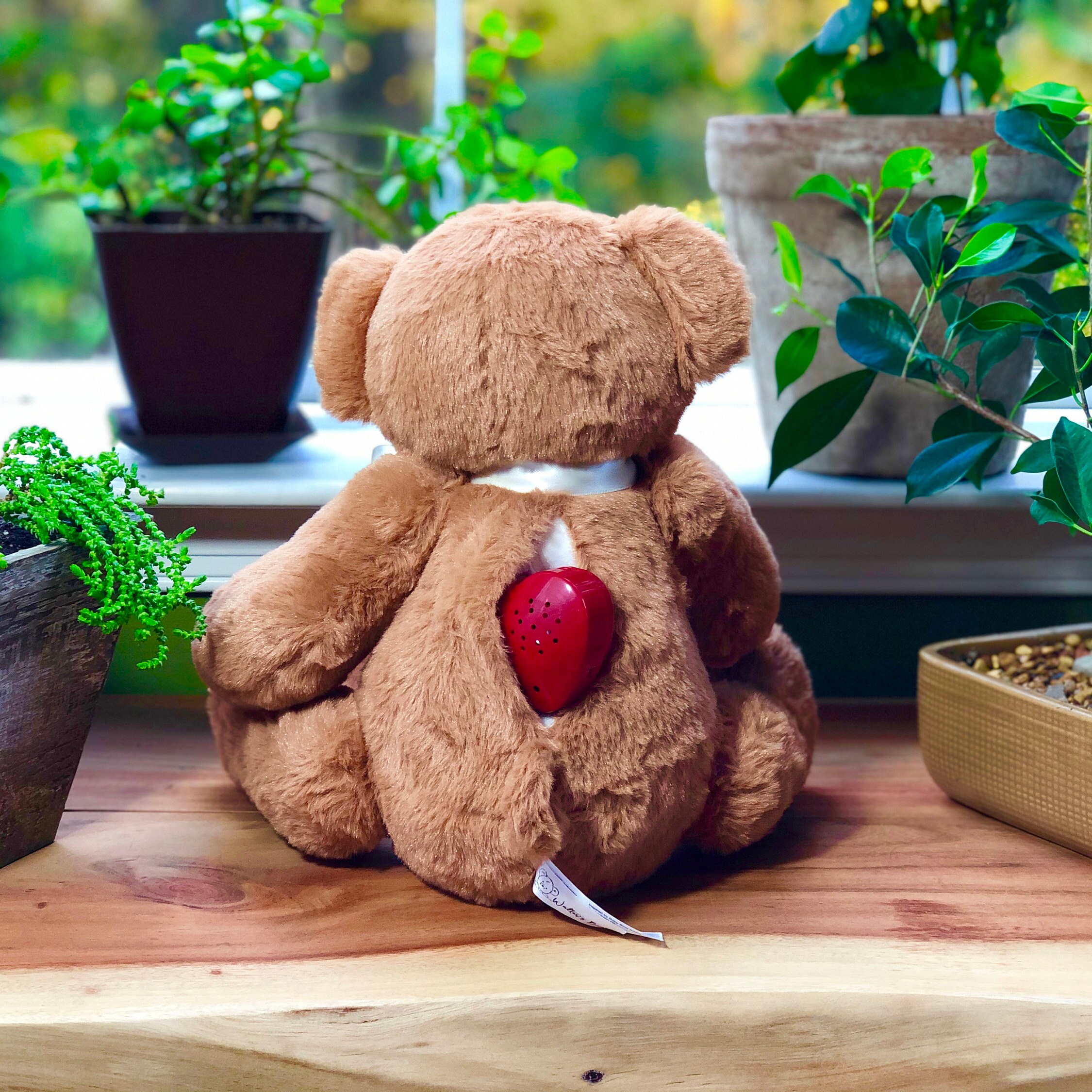 Voice Recording Gift . Custom Audio Teddy Bear . Voice - Etsy UK