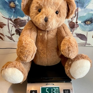 Birth Weight Bear, Custom Weighted Bear With Birth Stats, Personalized ...
