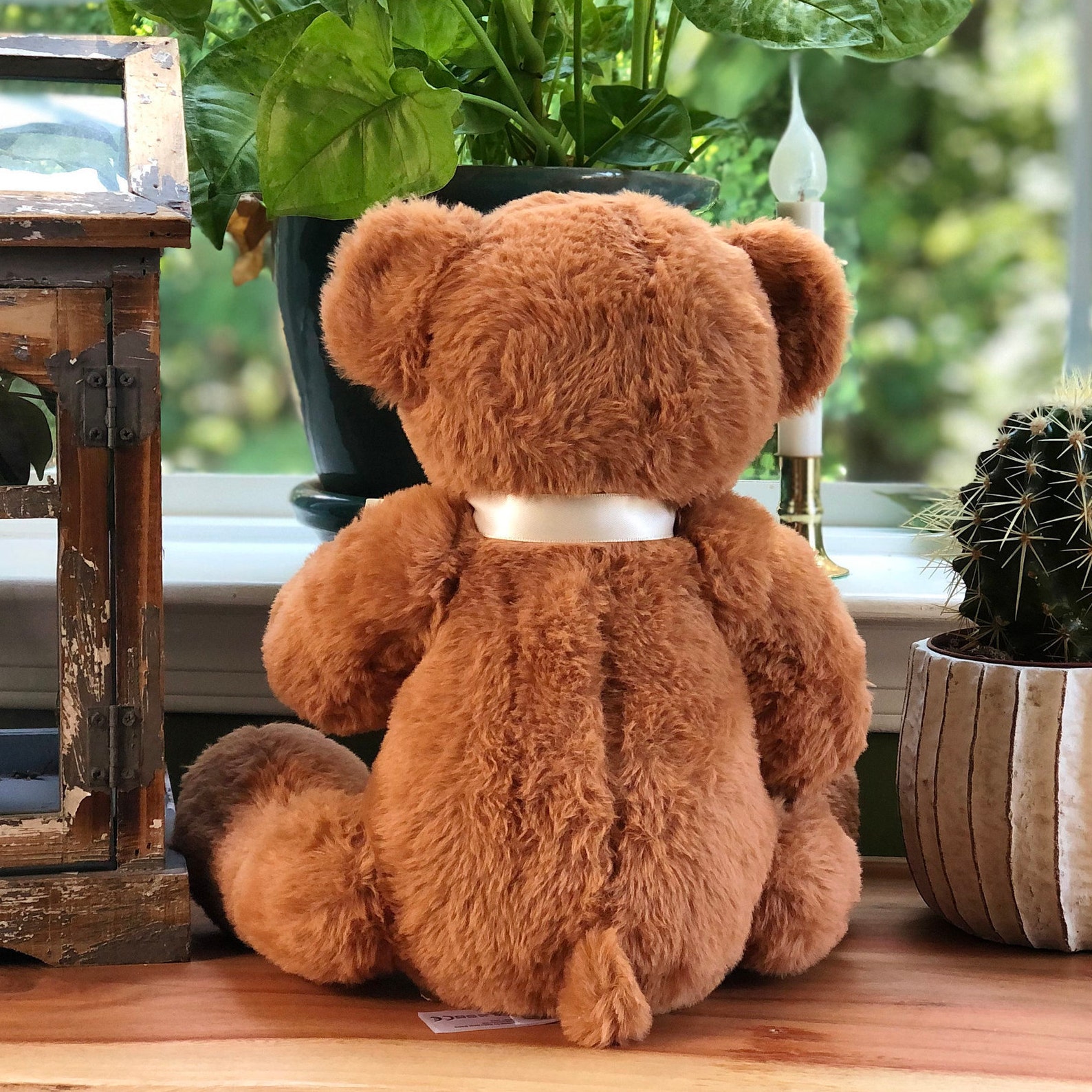 Teddy Bear Urn Custom Ribbon Urns for Human Ashes Huggable | Etsy