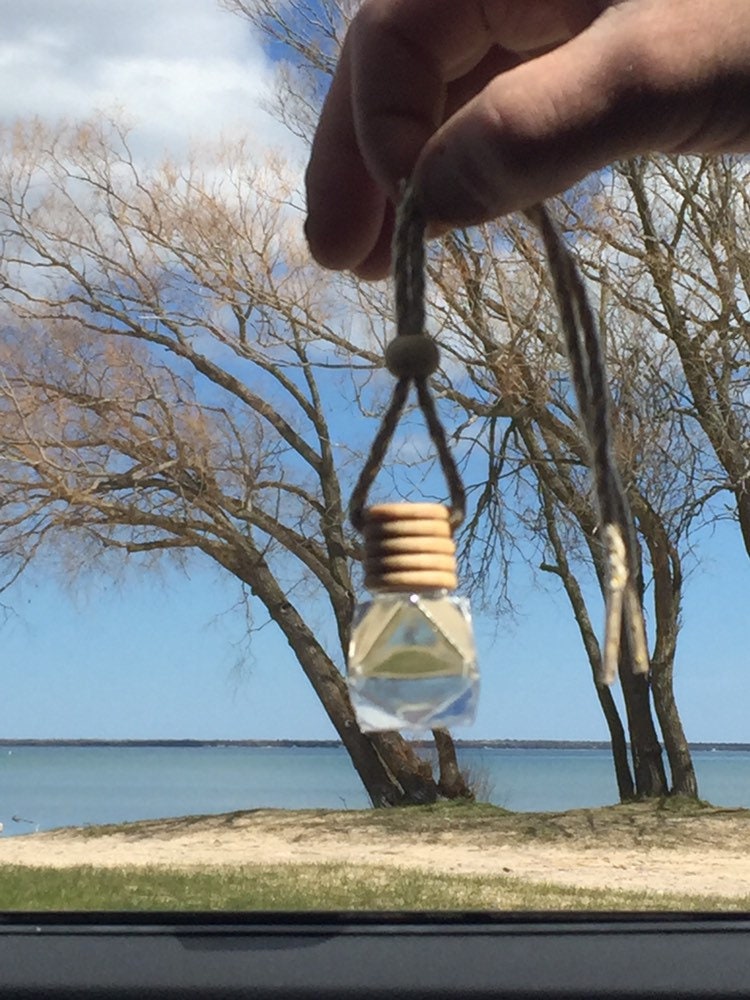 CHOOSE SCENT Hanging Diffuser Scented Miniature Car Air Freshener Oil ...