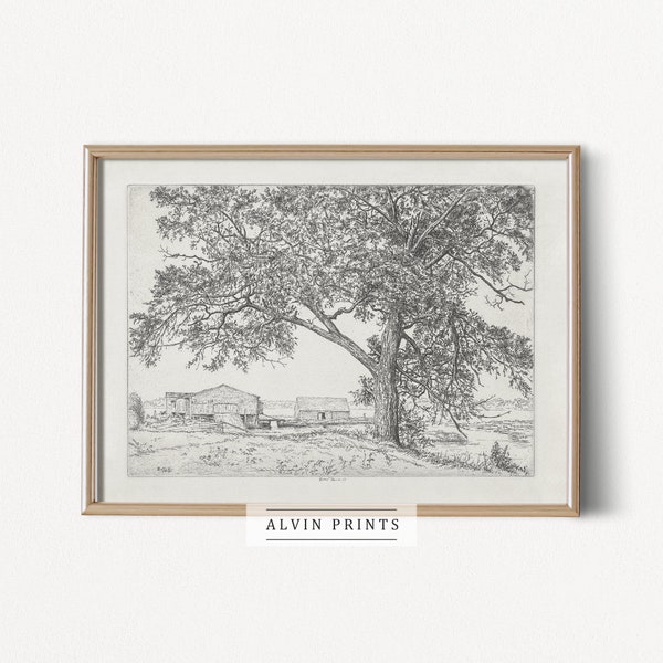 Vintage Etching Wall Art - Etsy