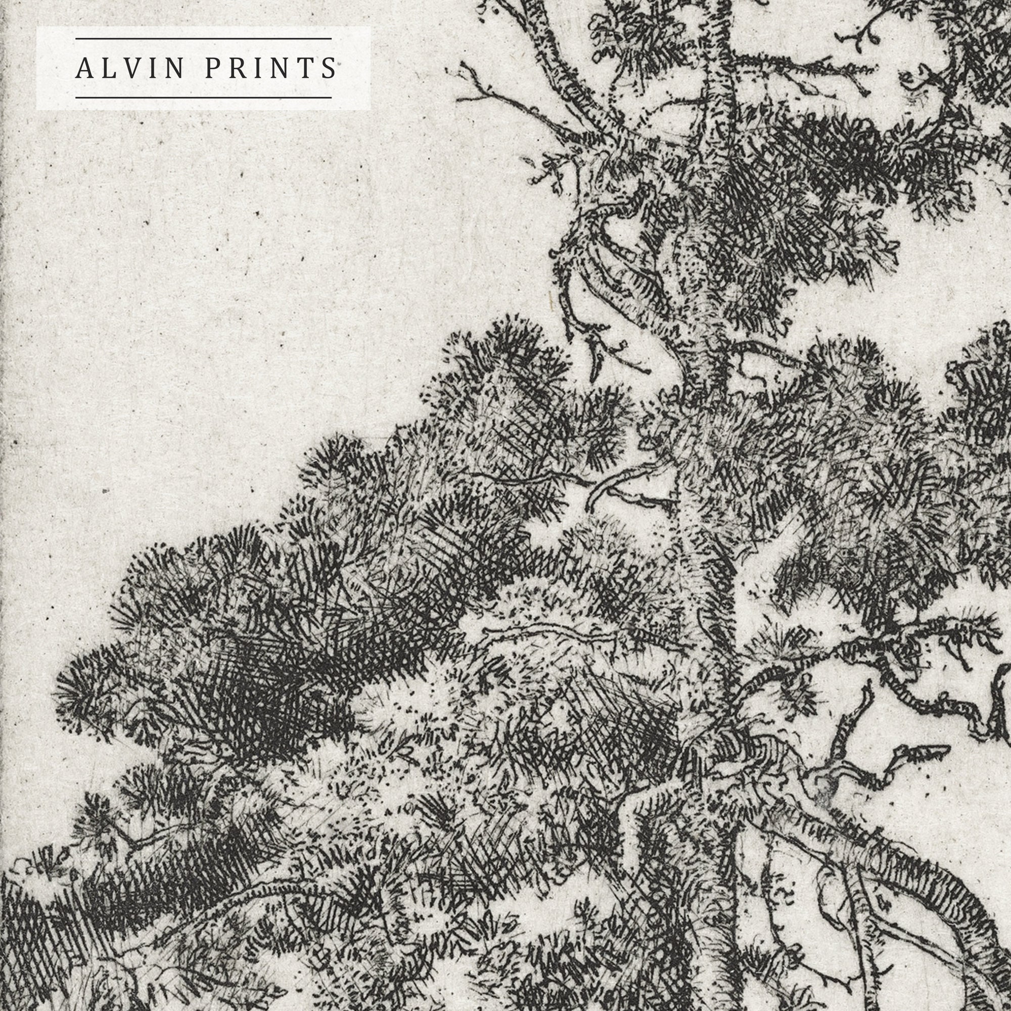 Vintage Tree Drawing Engraving Art Print Tree Sketch Etching - Etsy