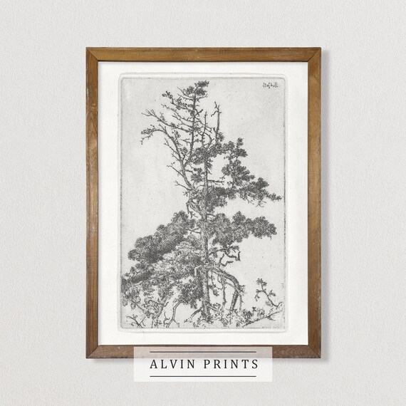 Vintage Tree Drawing Engraving Art Print Tree Sketch Etching | Etsy