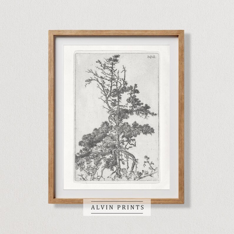 Vintage Tree Drawing Engraving Art Print Tree Sketch Etching | Etsy