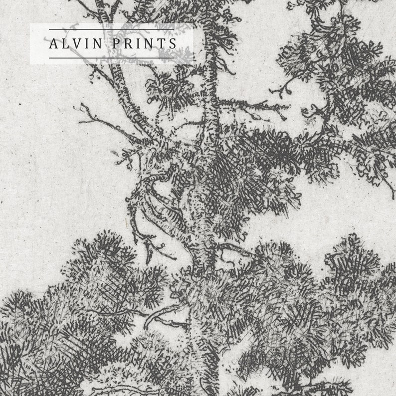 Vintage Tree Drawing Engraving Art Print Tree Sketch Etching | Etsy