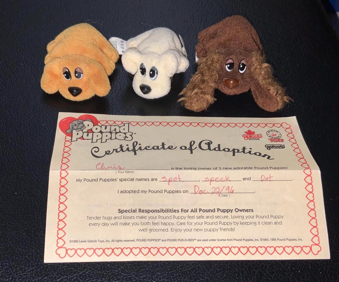 Vintage Tiny Pound Puppies & Pound Ponies – 1980s Mini Collectibles ...