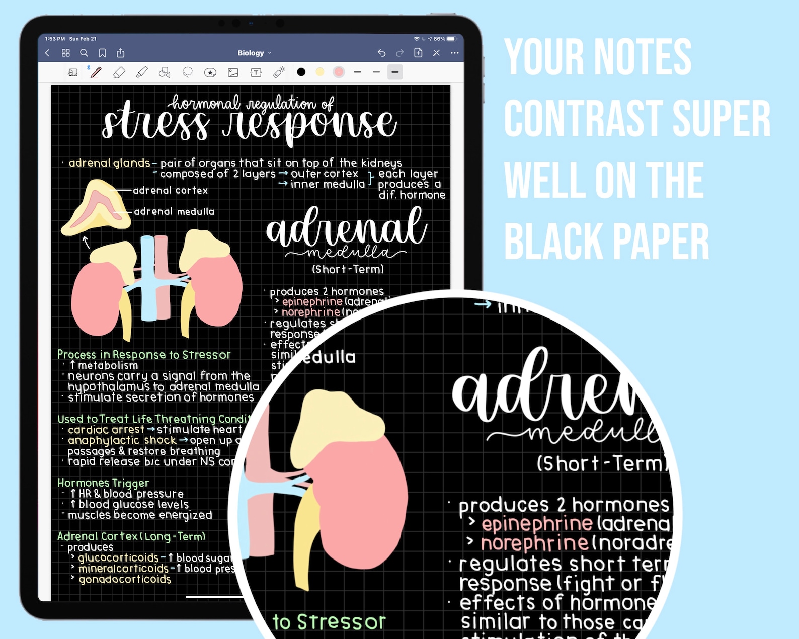 Black Paper Templates | iPad Notetaking | Goodnotes & Notability ...