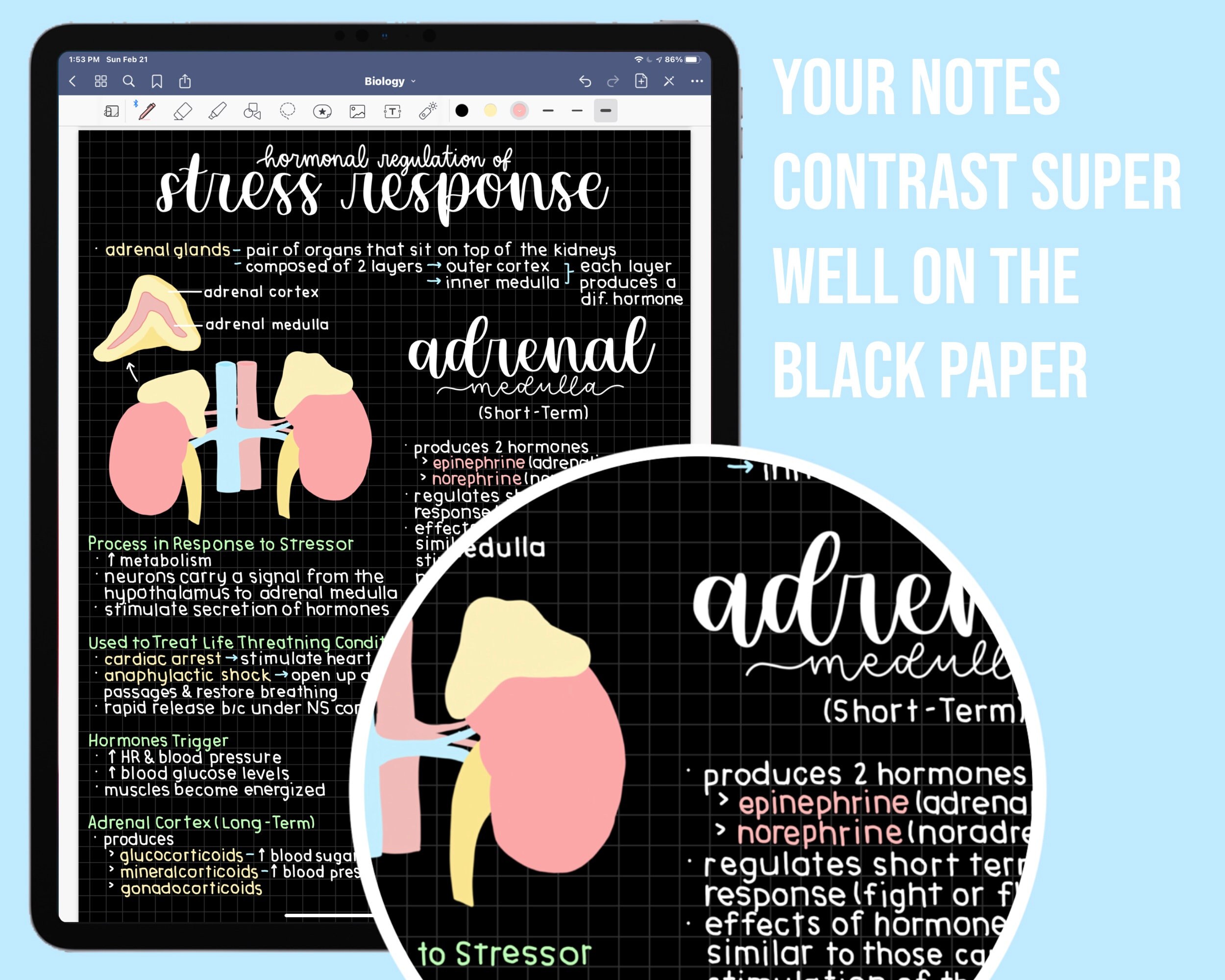 Black Paper Templates Ipad Notetaking Goodnotes & | Etsy