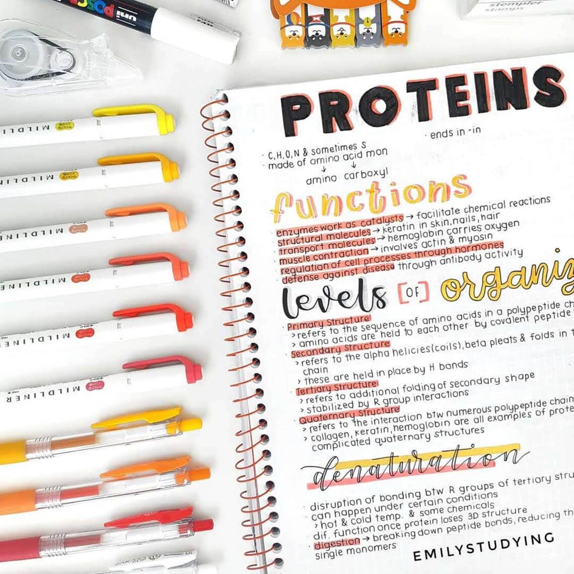 Biology Notes (biochemistry) - Etsy