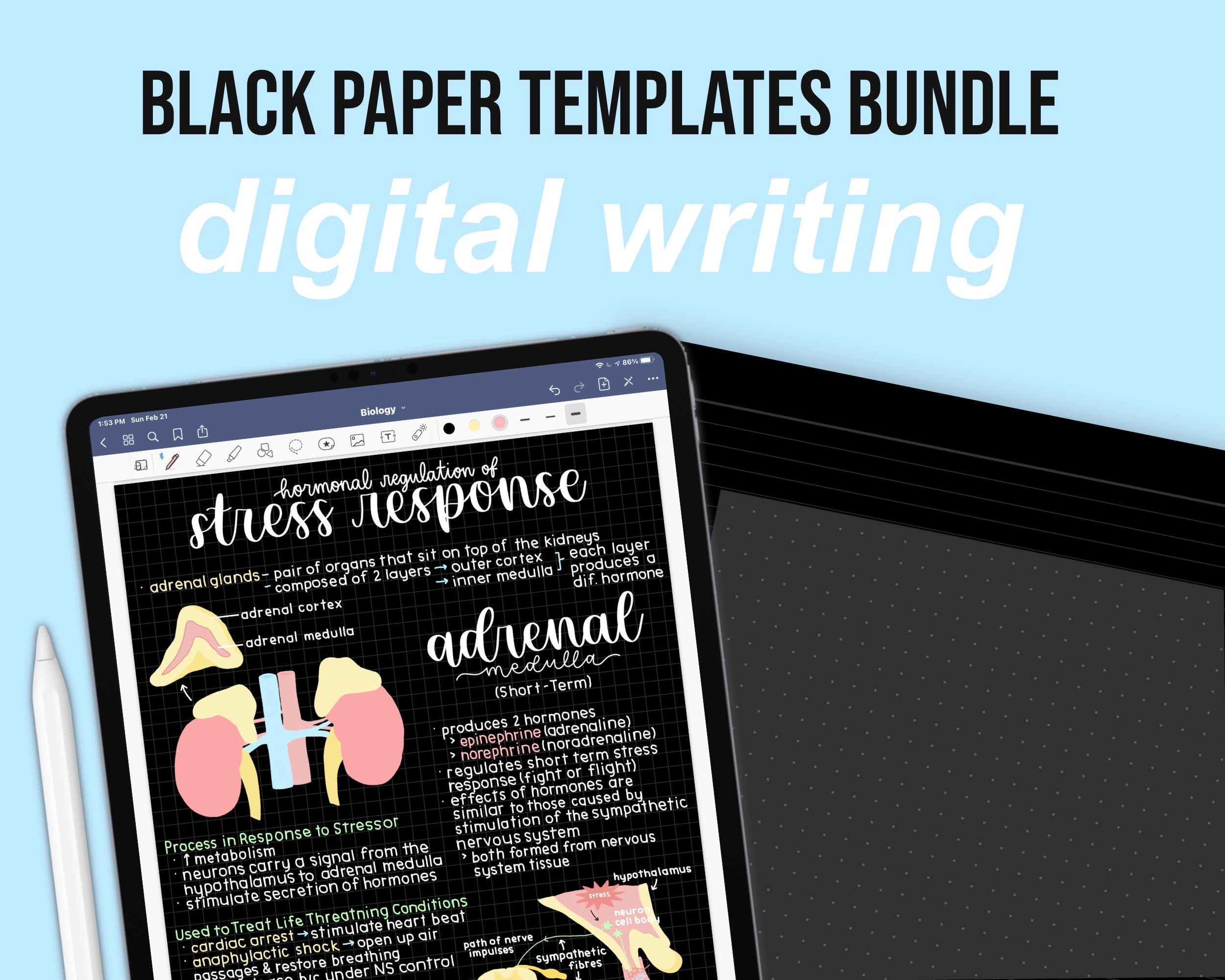 Black Paper Templates Ipad Notetaking Goodnotes Etsy