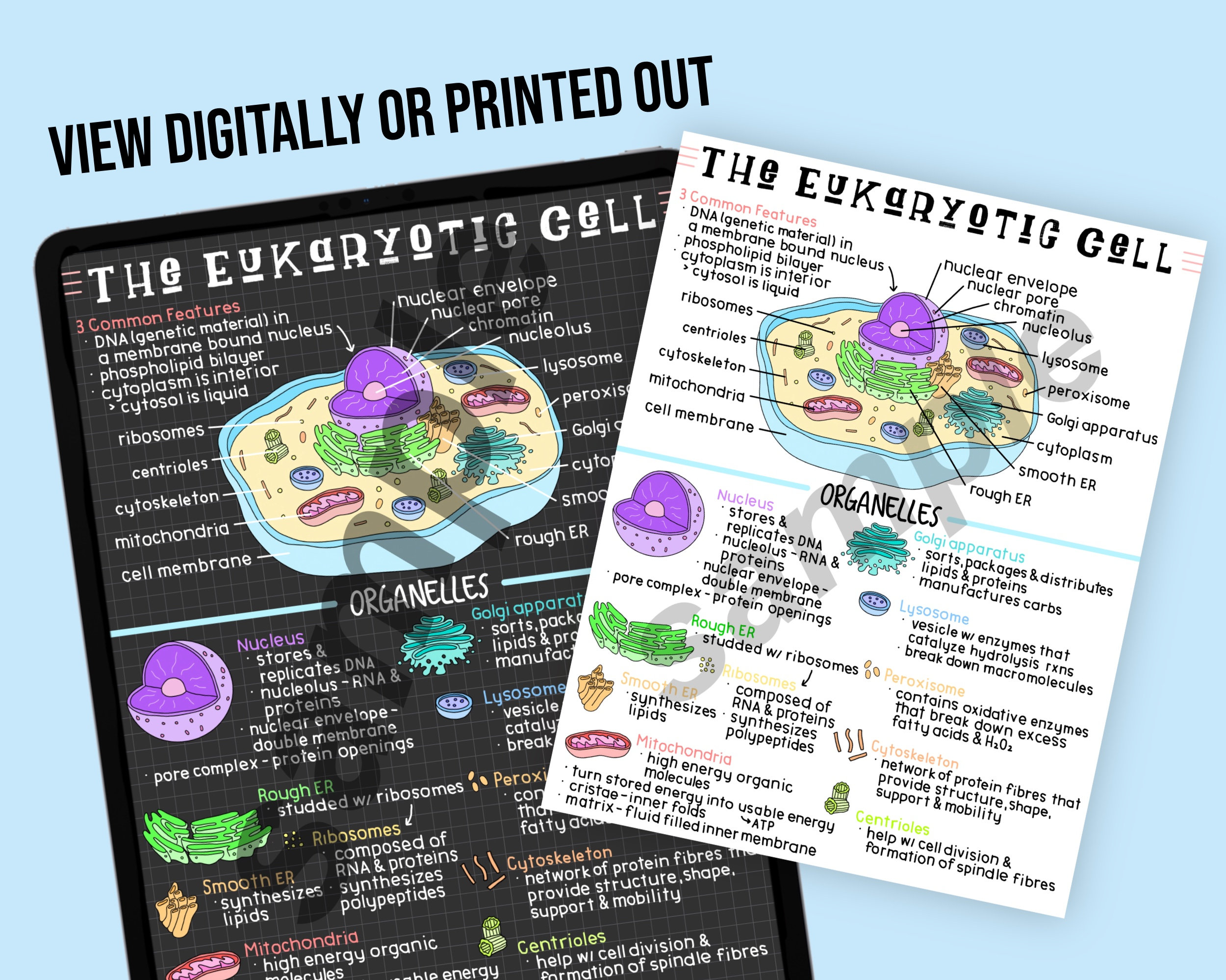 Cell Organelles Study Notes Biology Notes - Etsy