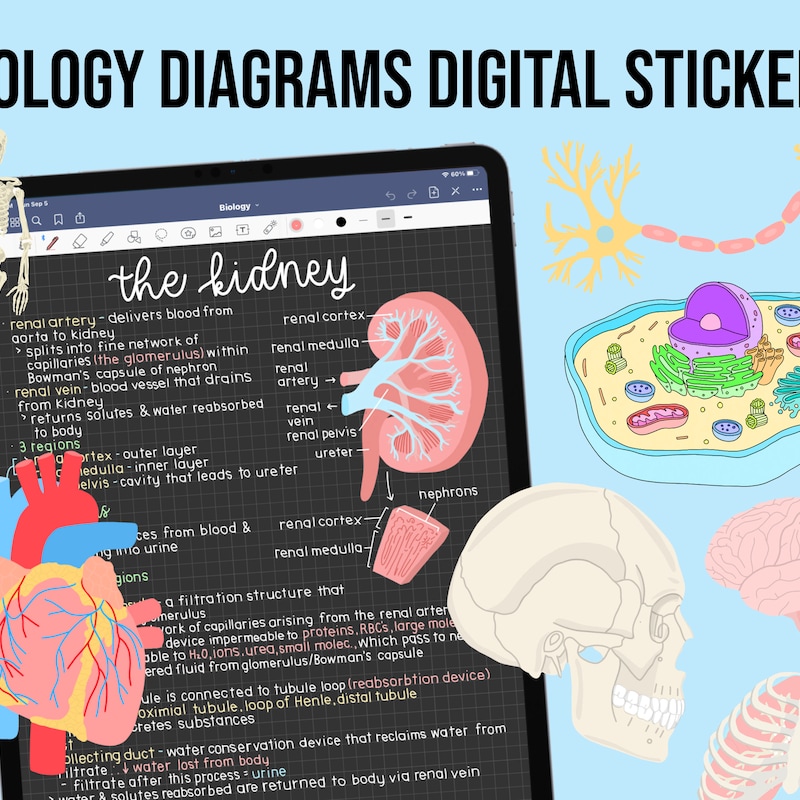 Goodnotes Stickers - Etsy