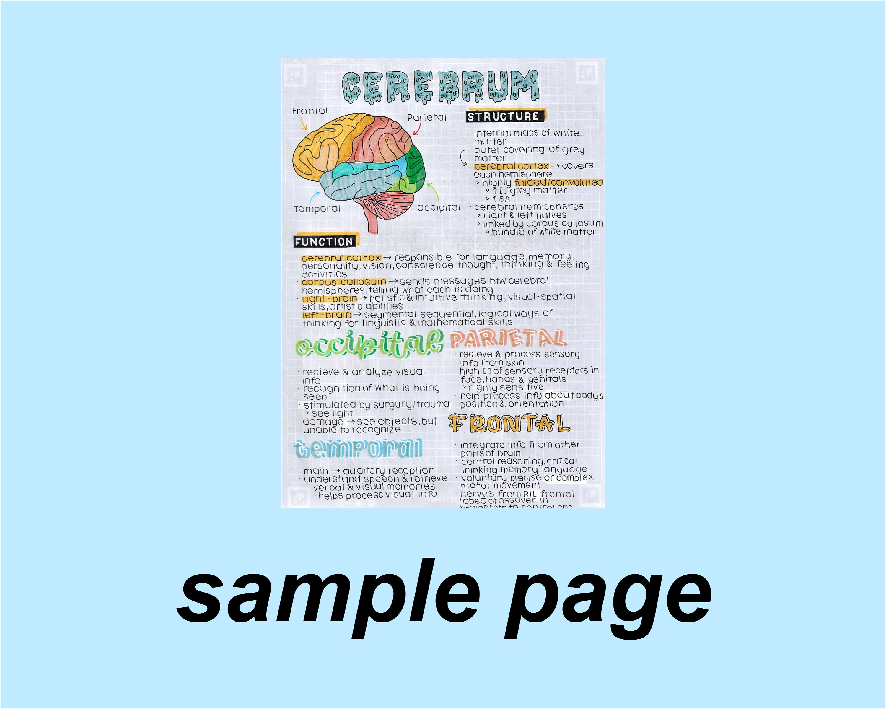 Celebrity Brain Project Psychology 60 Photos - Moonagedaydream.film