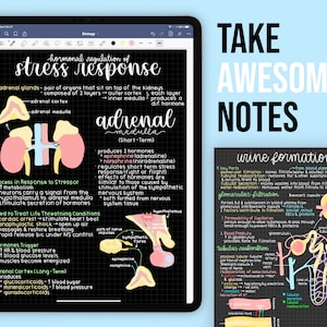 Biology & Anatomy Digital Stickers | Hand-drawn iPad Goodnotes, PNG ...