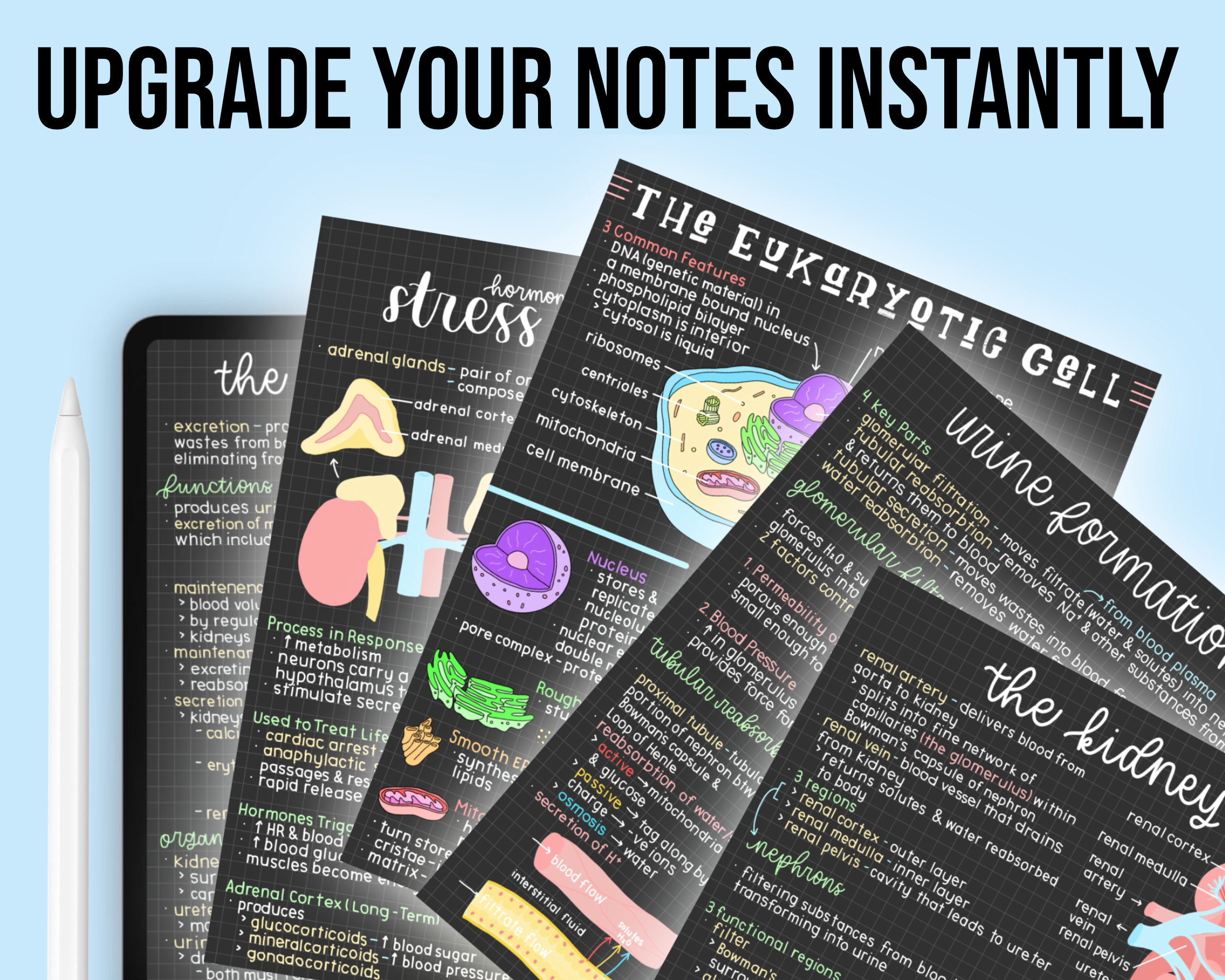 Biology & Anatomy Digital Stickers | Hand-drawn iPad Goodnotes, PNG ...