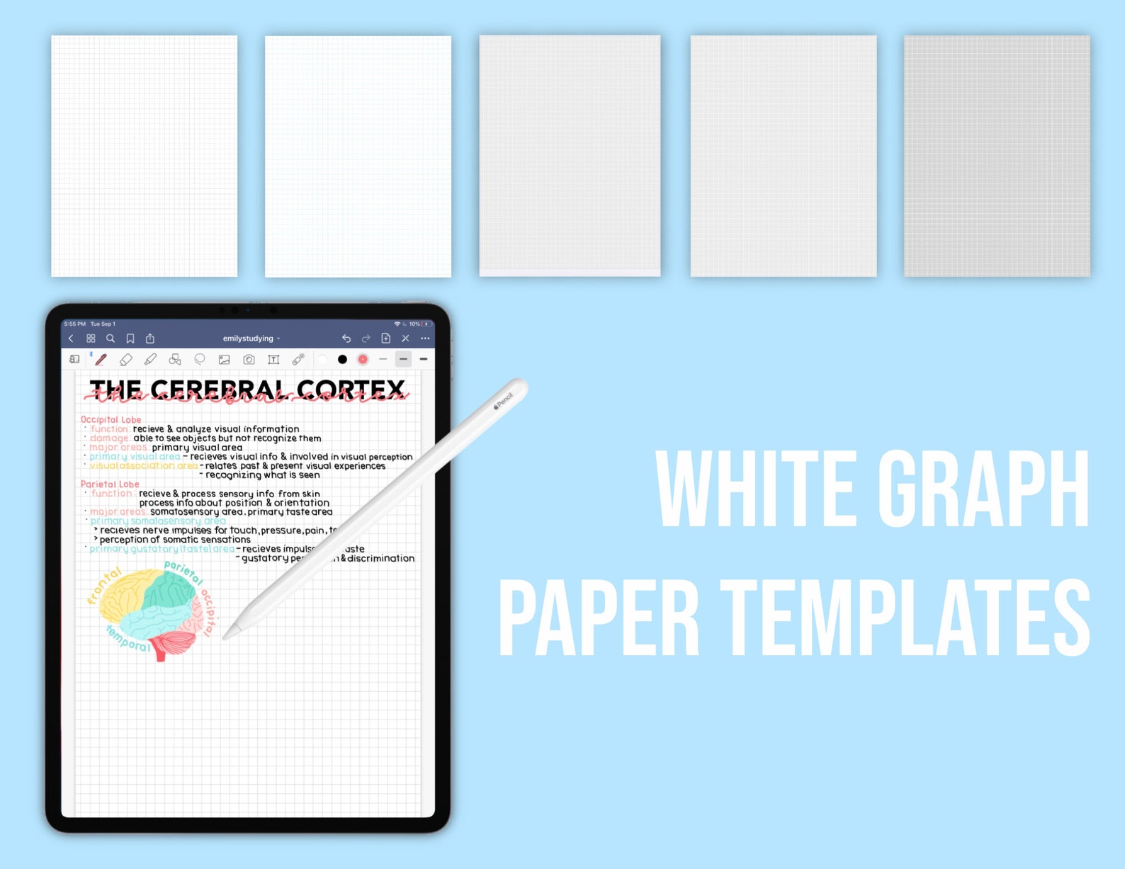 25 Colorful Graph Paper Templates Digital Writing | Etsy