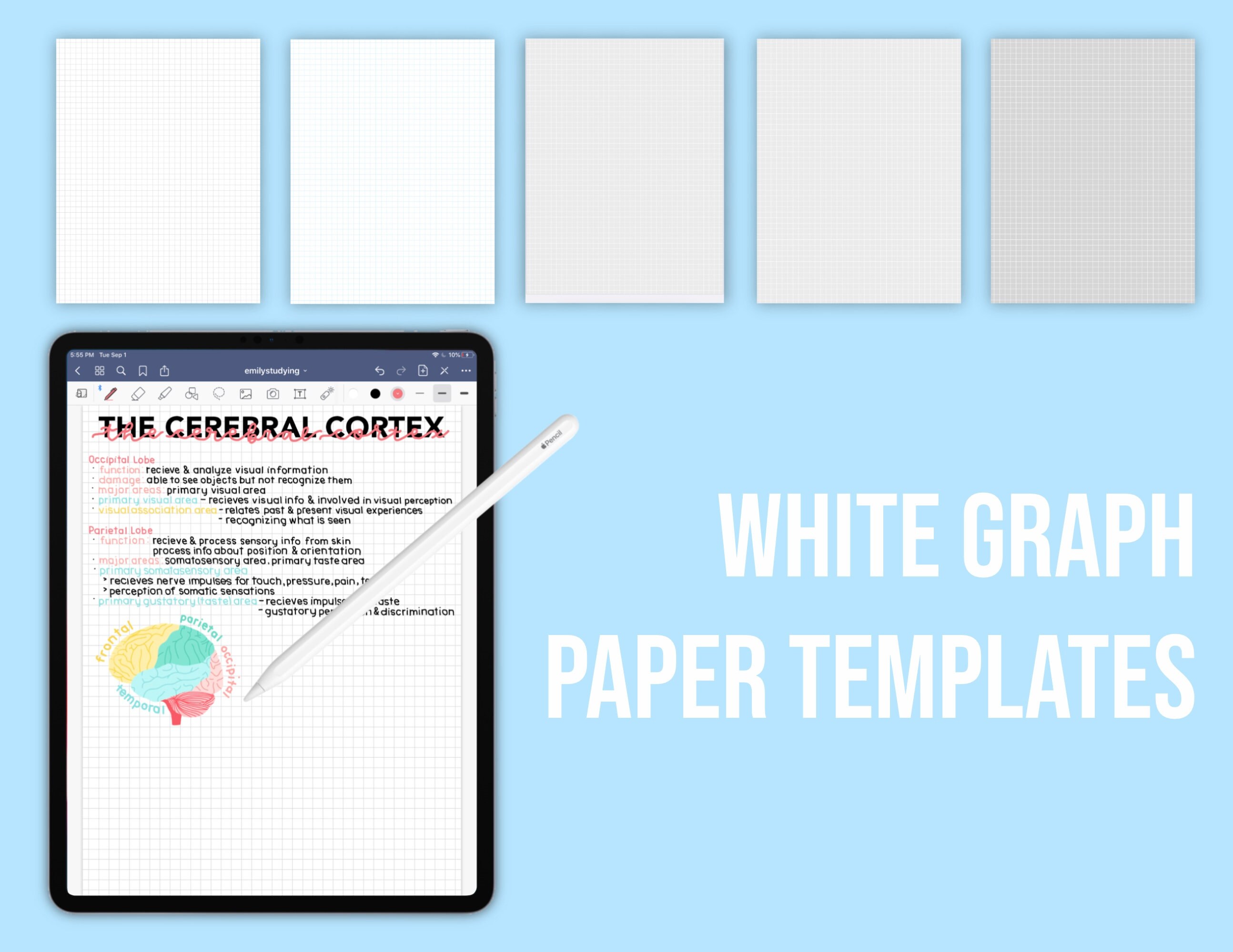 25 Colorful Graph Paper Templates Digital Writing | Etsy