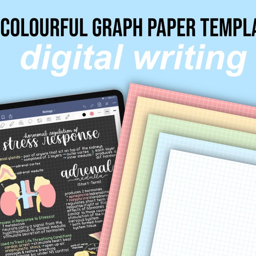 100 Colorful Paper Templates Bundle Digital Writing Grid - Etsy