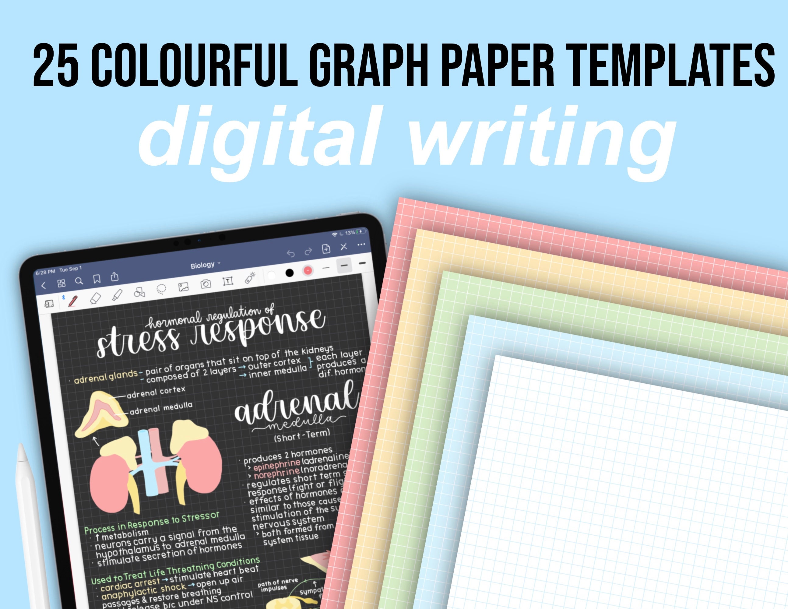25 Colorful Graph Paper Templates Digital Writing | Etsy