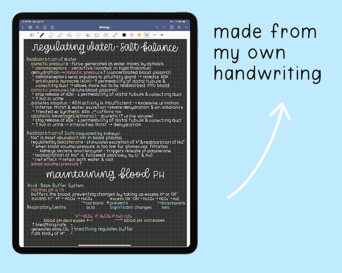 My Handwriting Font: Extended Version - Etsy Canada