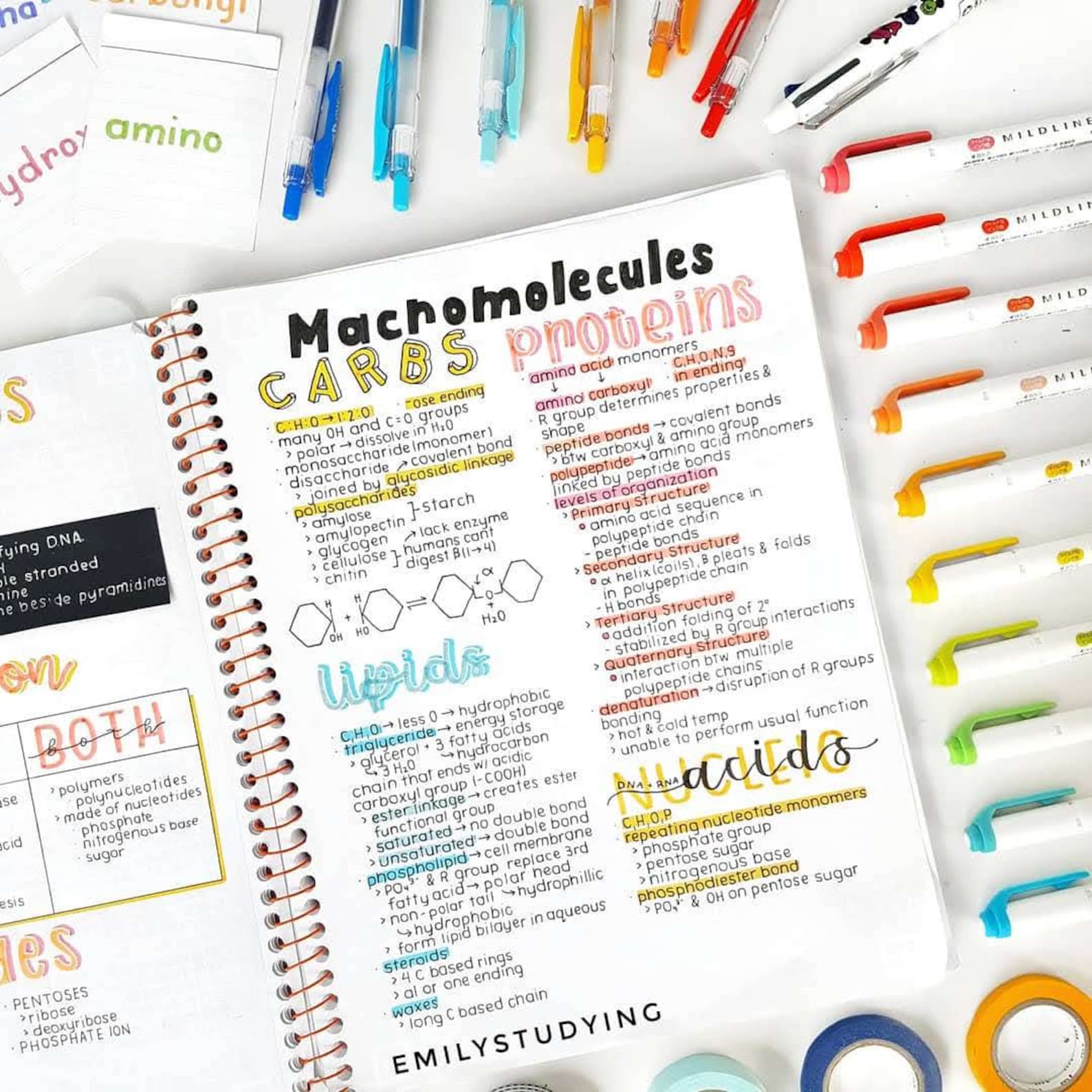Biology Notes (biochemistry) - Etsy