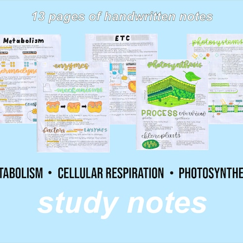 Respiration and Photosynthesis Notes Leaving Cert Biology - Etsy