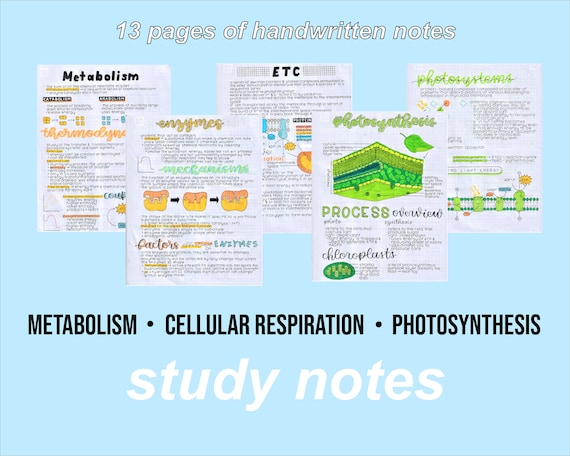 Biology Notes cellular Respiration & Photosynthesis - Etsy Ireland