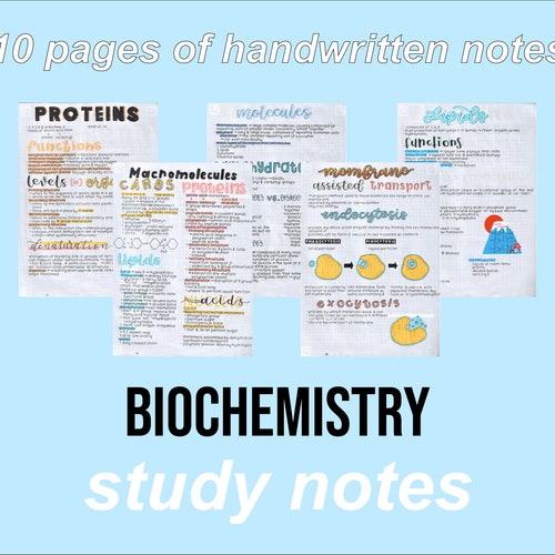 AP Biology DNA Structure and Replication Notes - Etsy