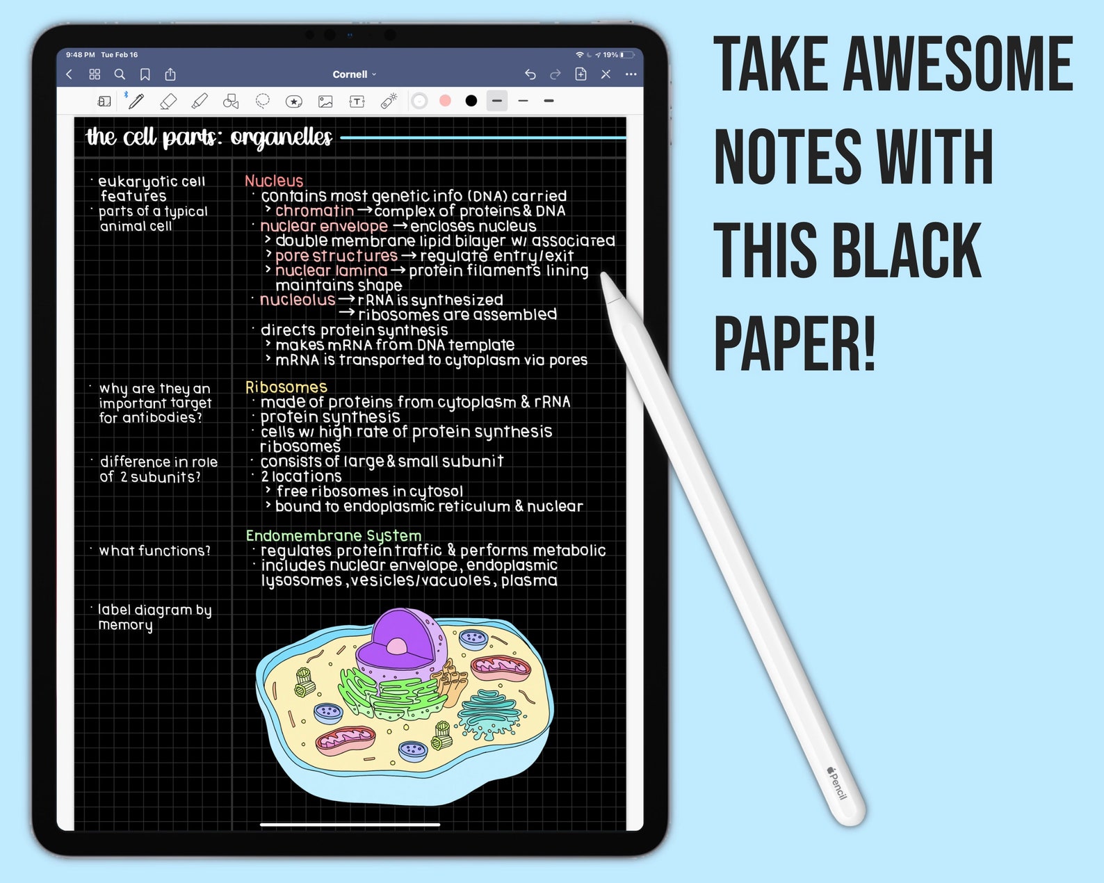 Black Paper Templates Ipad Notetaking Goodnotes & - Etsy Ireland
