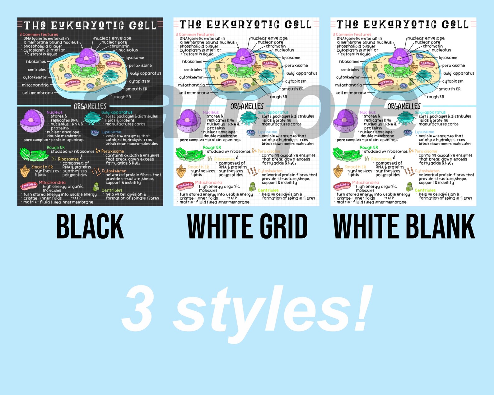 Cell Organelles Study Notes Biology Notes | Etsy
