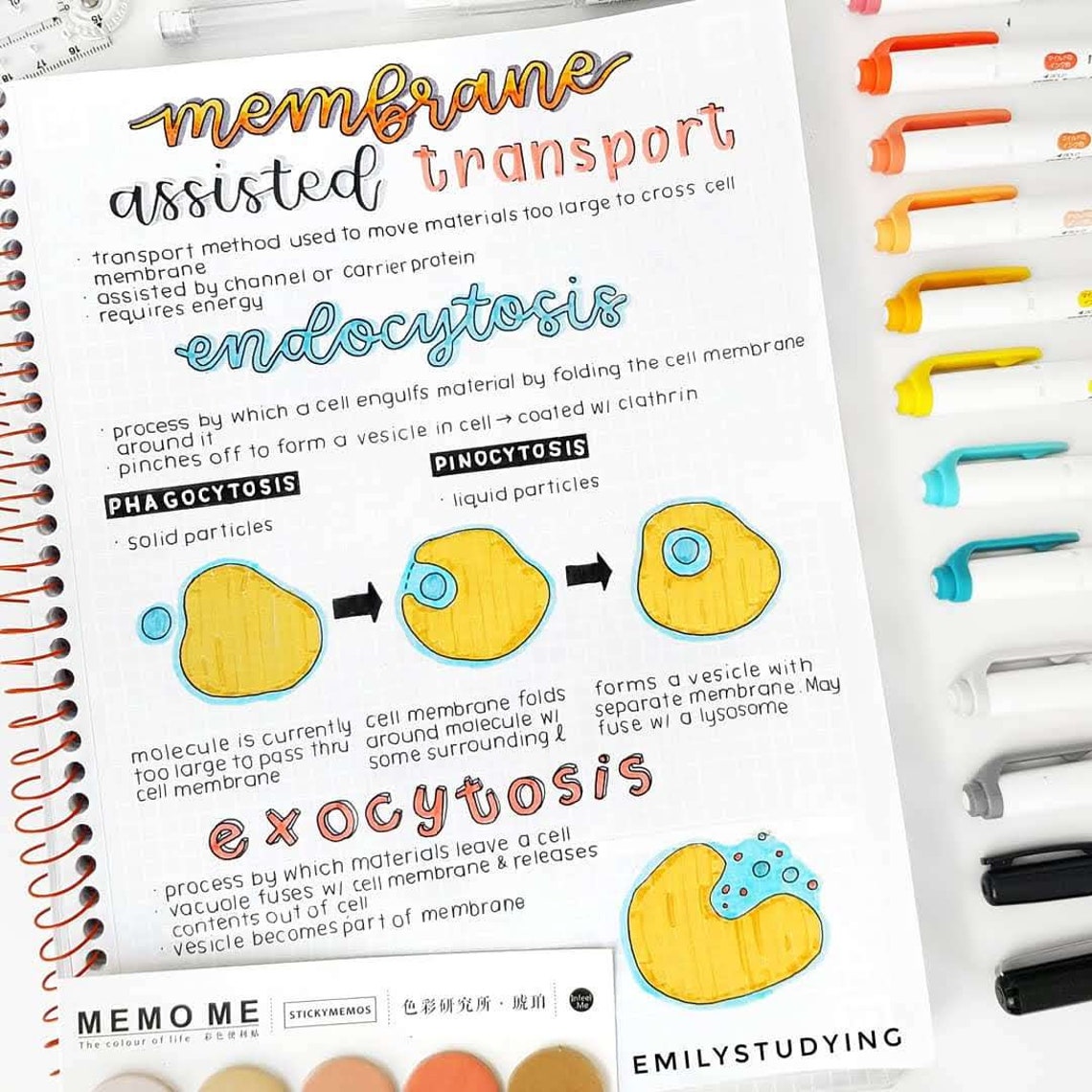 Biology Notes (biochemistry) - Etsy