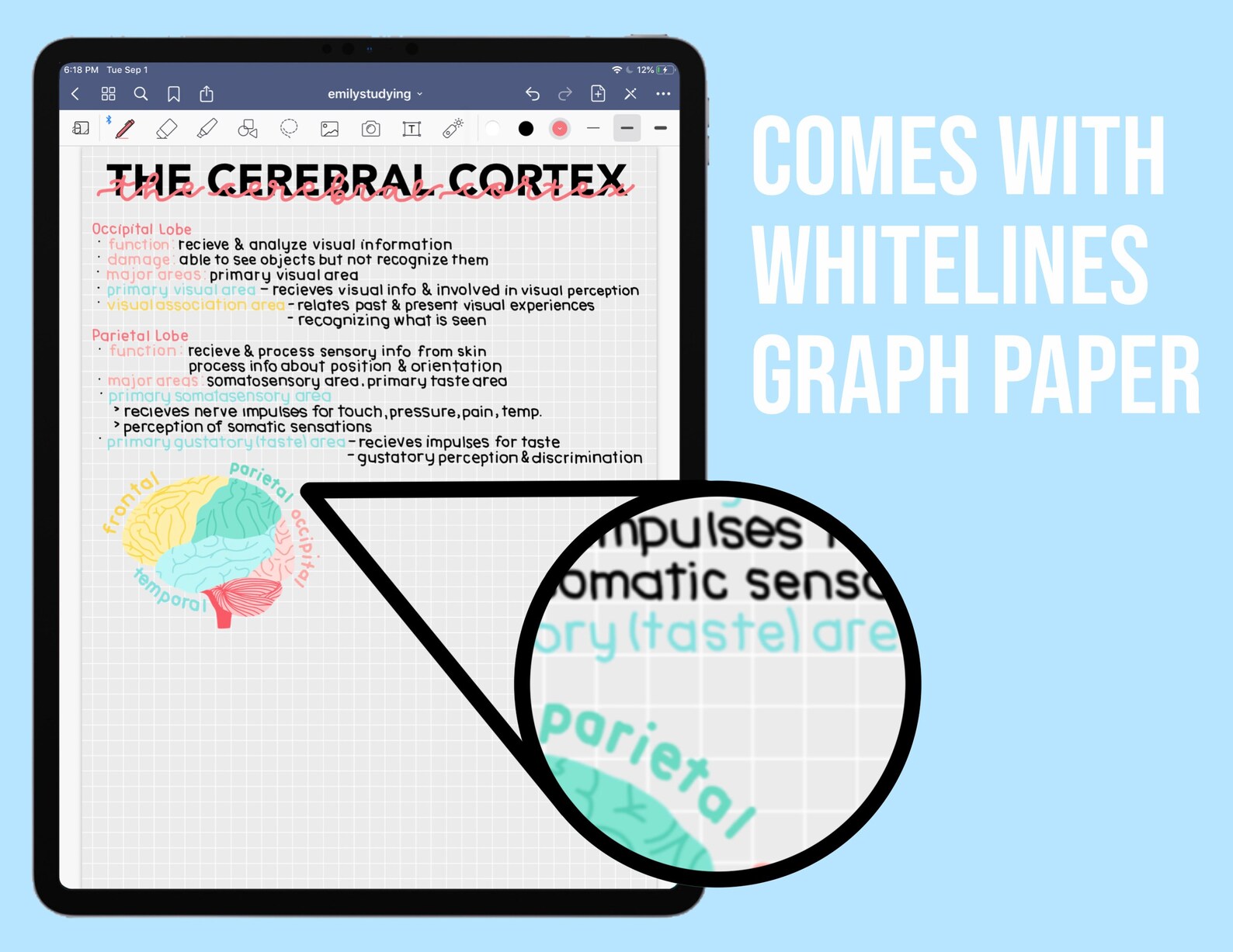 25 Colorful Graph Paper Templates Digital Writing | Etsy